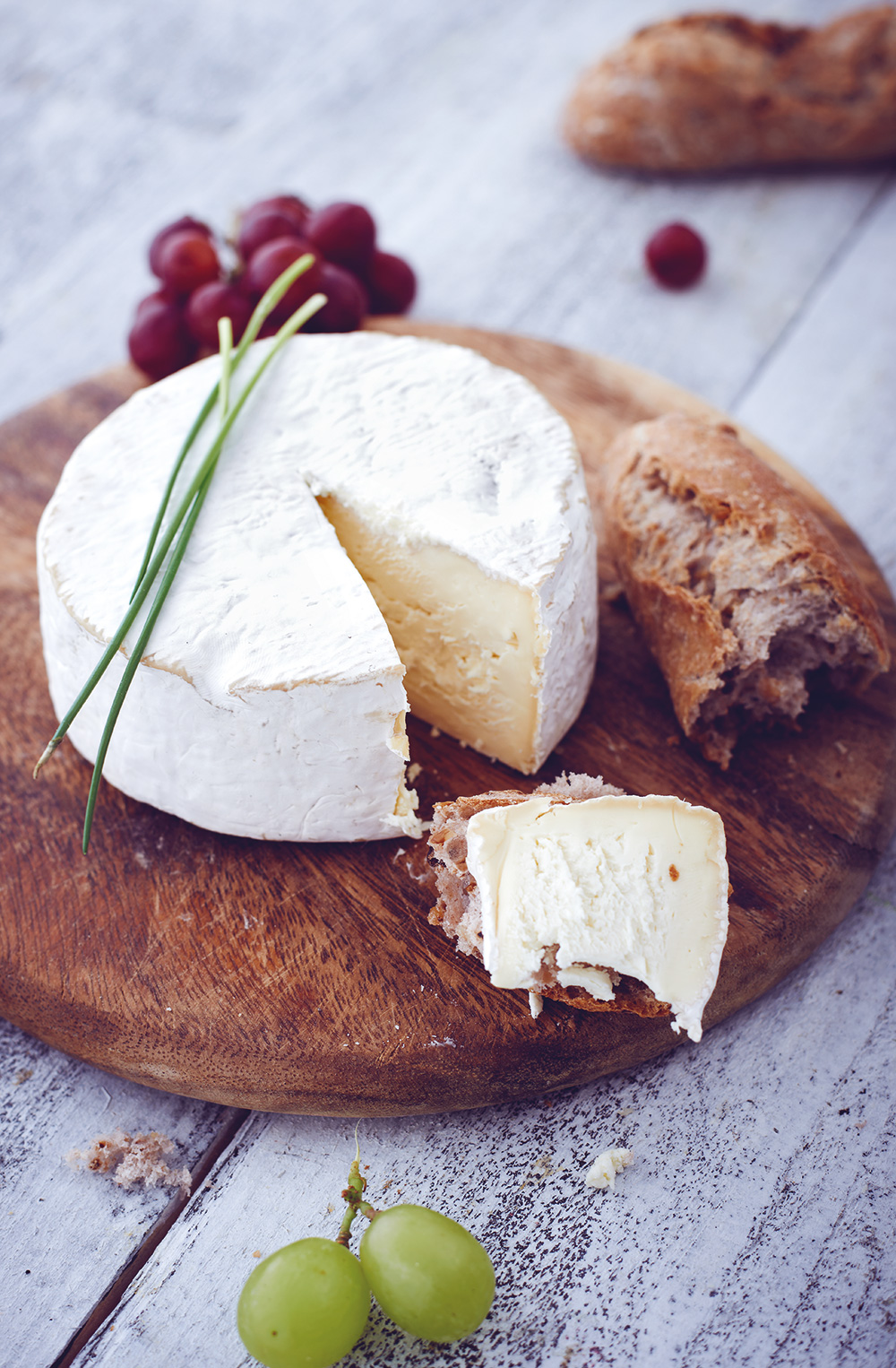 Mon fromager | Cactus