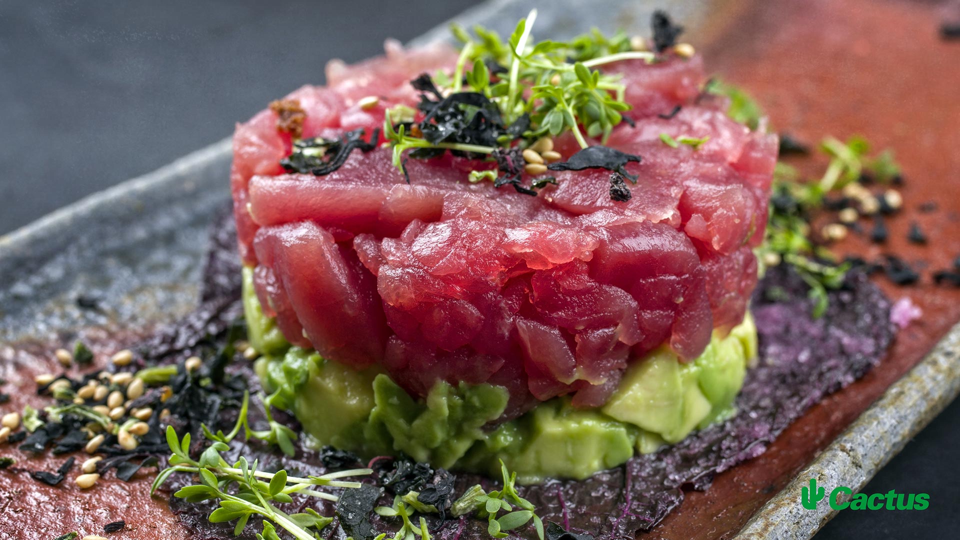 Mon poissonnier | Cactus