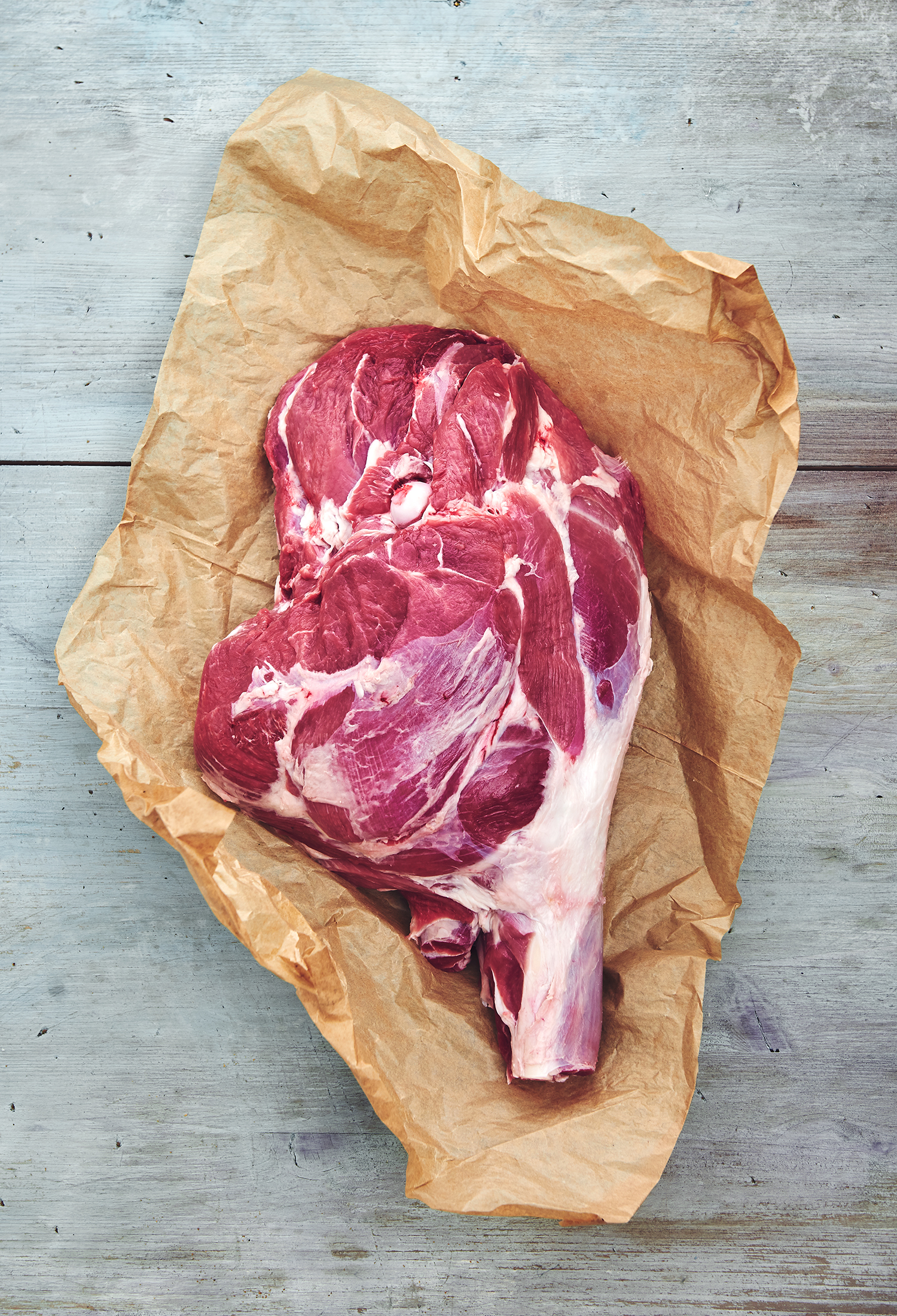 Mon boucher | Cactus