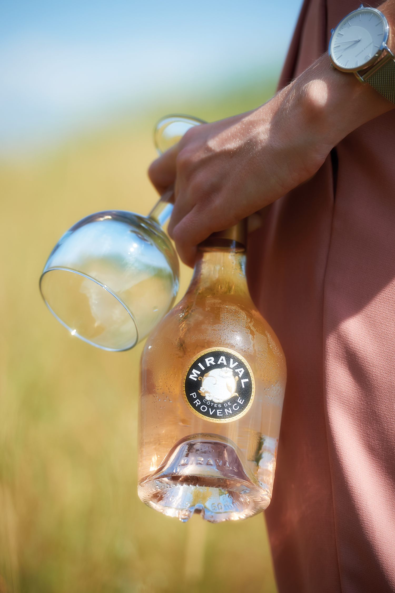 Cave à vins et champagnes | Cactus