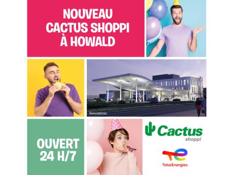 Bienvenue chez Cactus | Cactus