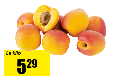 Catalogues et promotions | Cactus