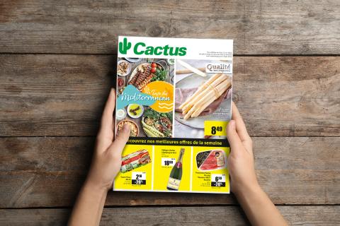 Bienvenue chez Cactus | Cactus